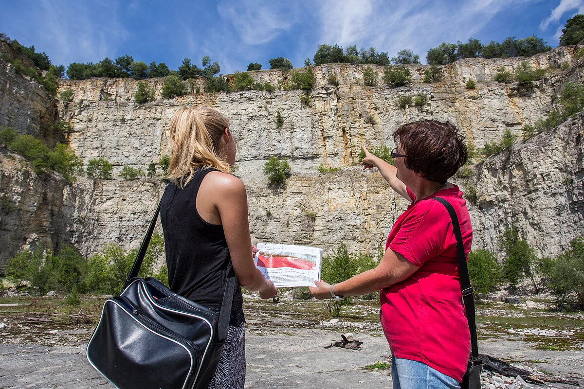 Geologie erleben: Malmschichten am Arzberg - Naturpark Altmühltal
