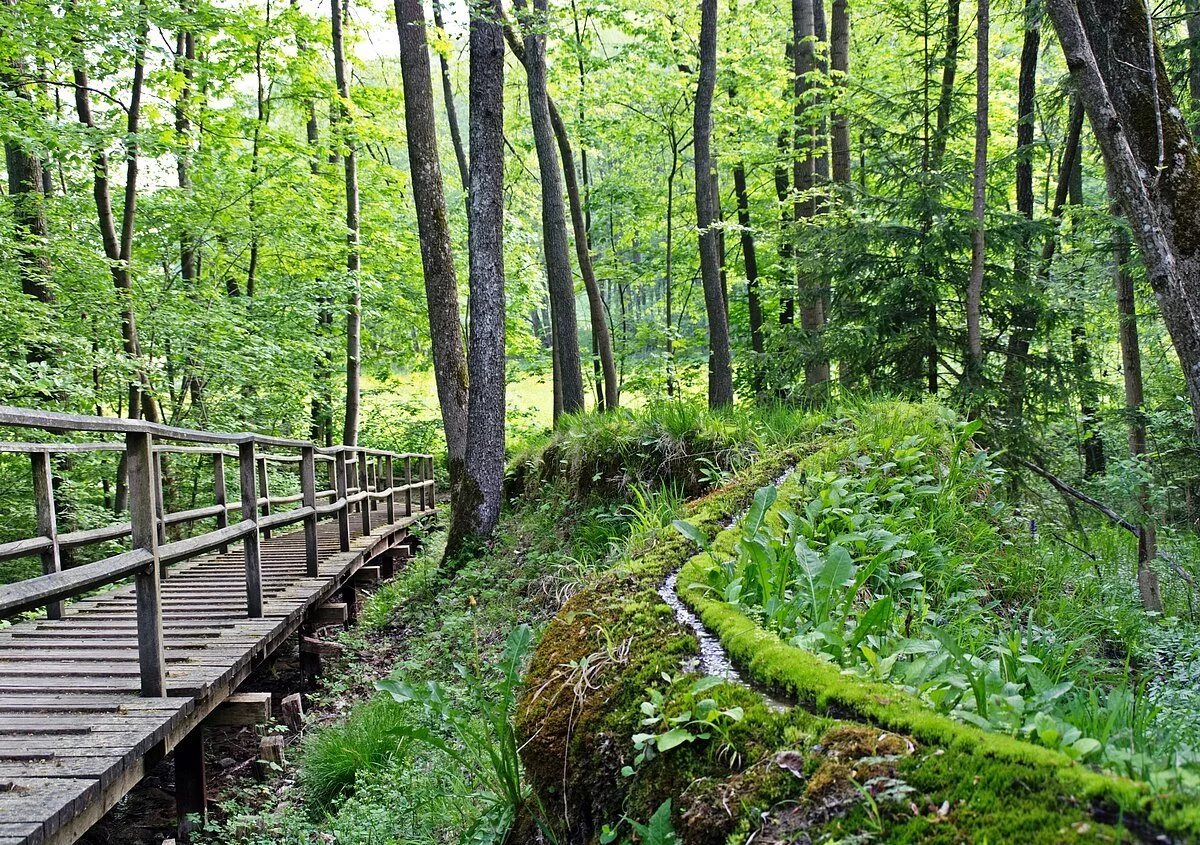 Steinerne Rinne bei Rohrbach - Naturpark Altmühltal